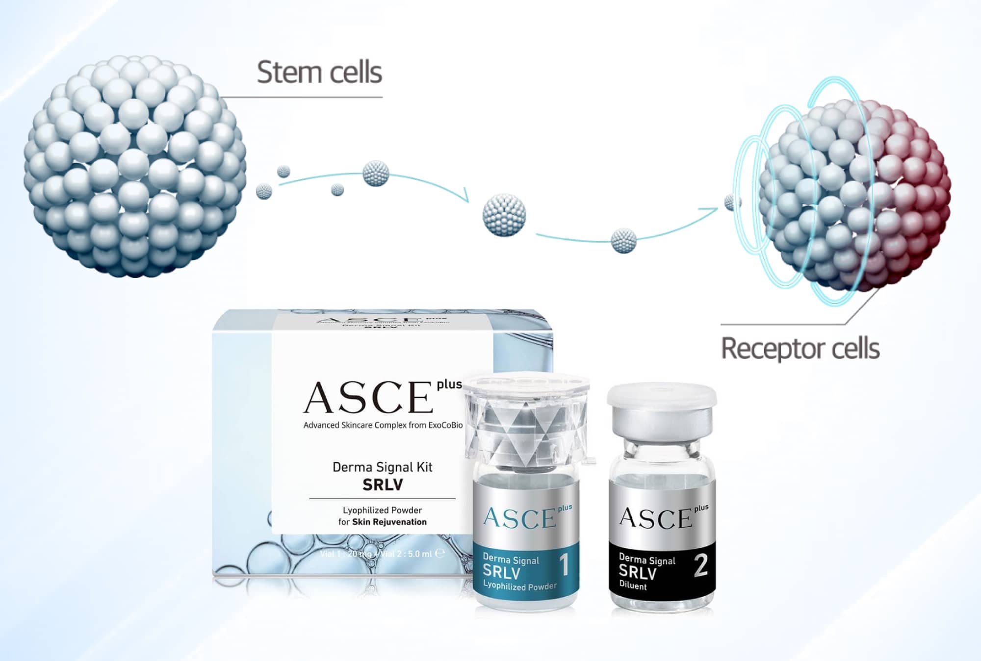เจาะลึก exosome คืออะไร ? ทำจุดไหนได้บ้าง ? กี่วันเห็นผล