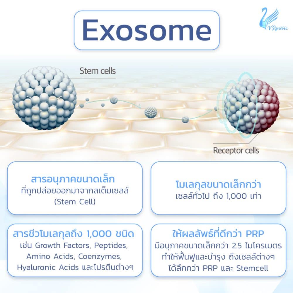 เจาะลึก exosome คืออะไร ? ทำจุดไหนได้บ้าง ? กี่วันเห็นผล